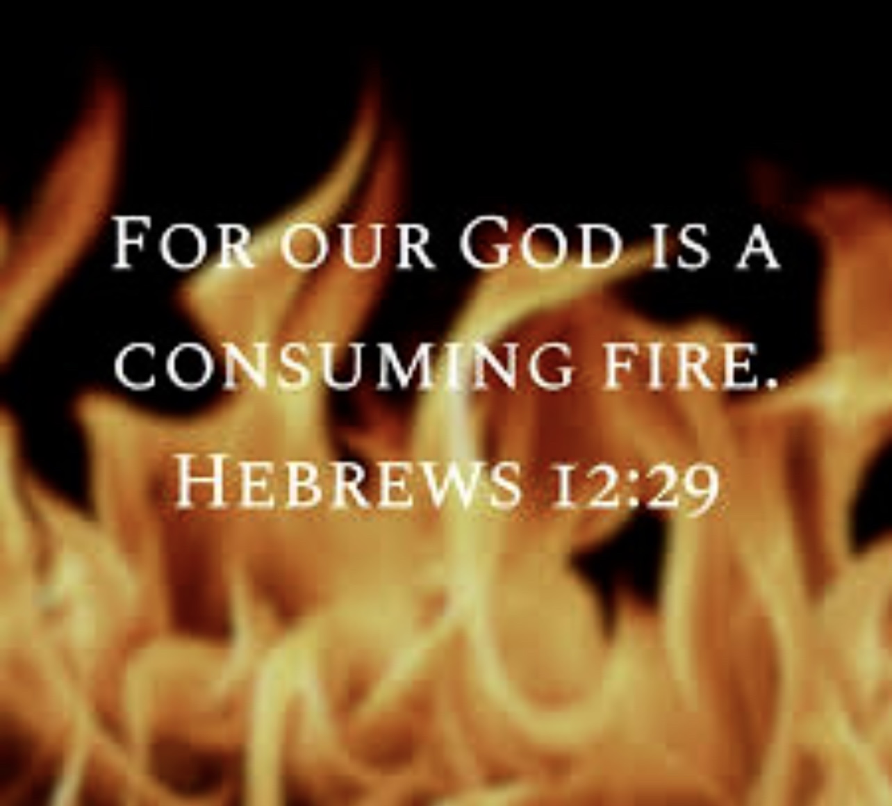 Consuming Fire – Lisa's Loves and Life as a Realtor, Home Care ...